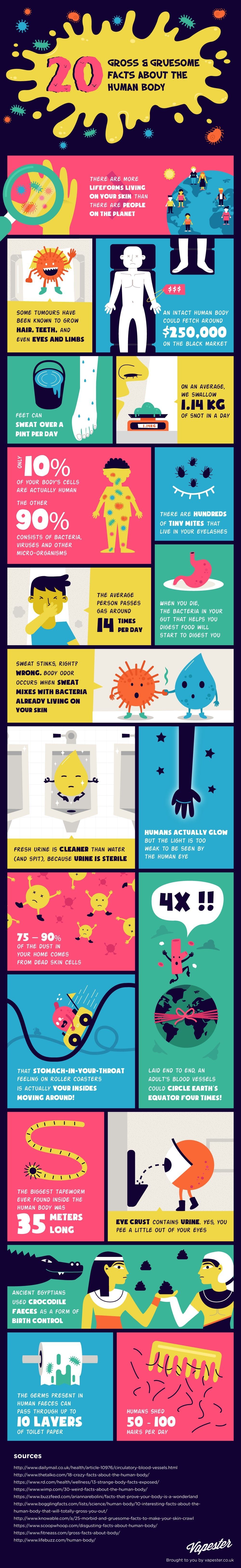 20 Gross & Gruesome Facts About The Human Body - Blog